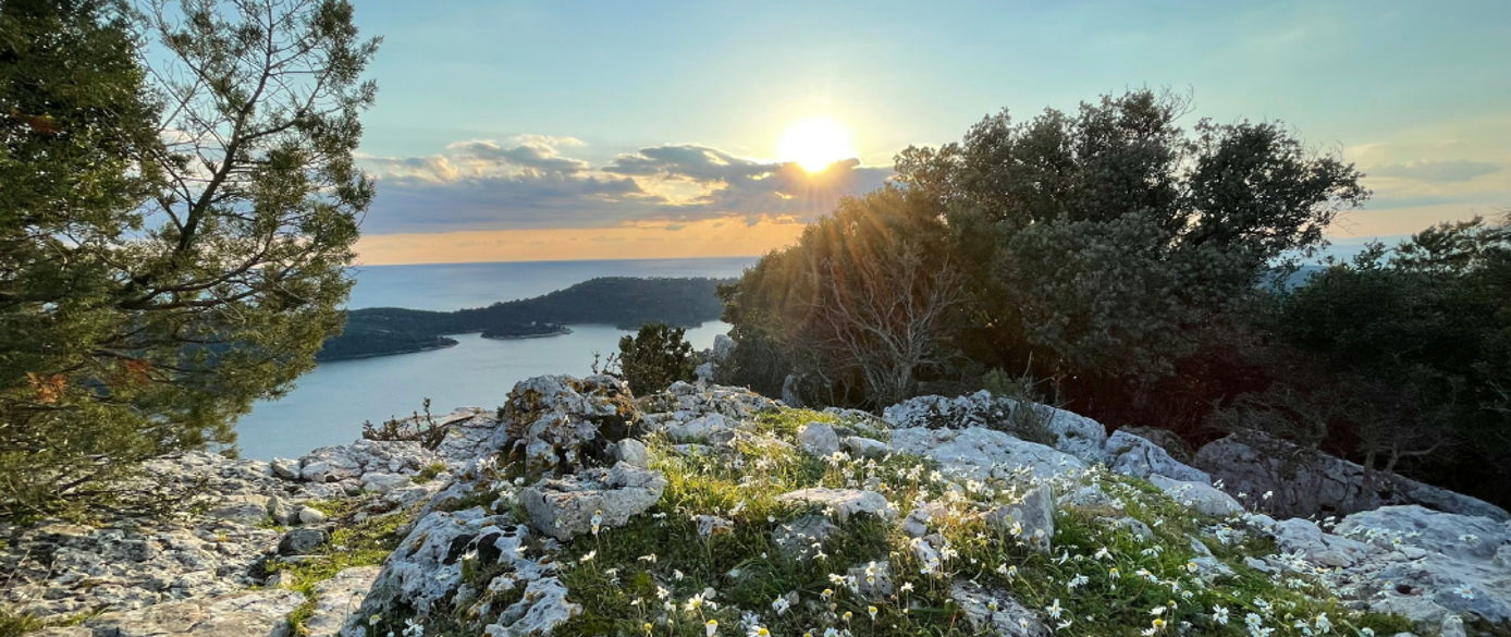 The Alchemy of Radiance: A 5-Element Transformation – Conscious City Guide