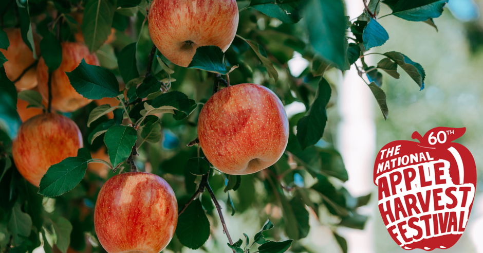 60th Annual National Apple Harvest Festival October 5-6 & 12-13, 2024 ...