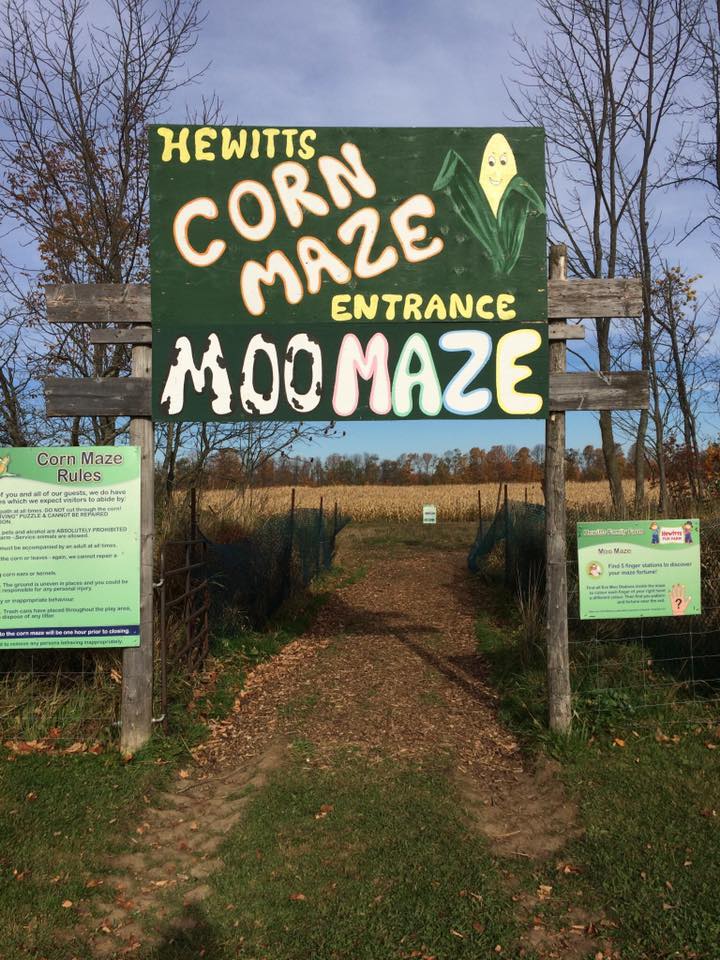 Hewitts Fun Farm Pumpkinfest 2024 - Events - Universe